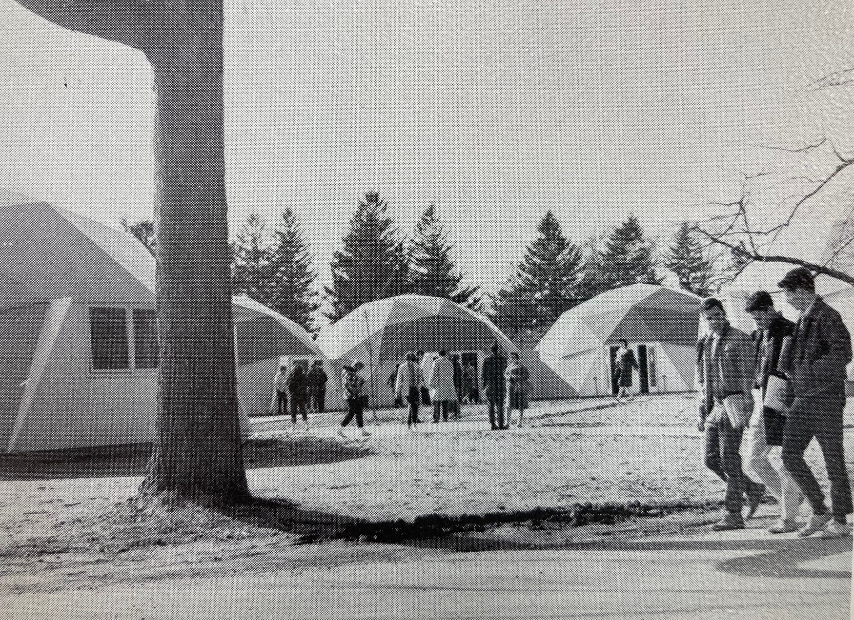 This Modern Moment: Geodesic Domes at Planting Fields – Planting Fields ...