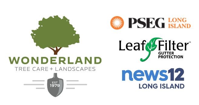 Planting Fields Foundation