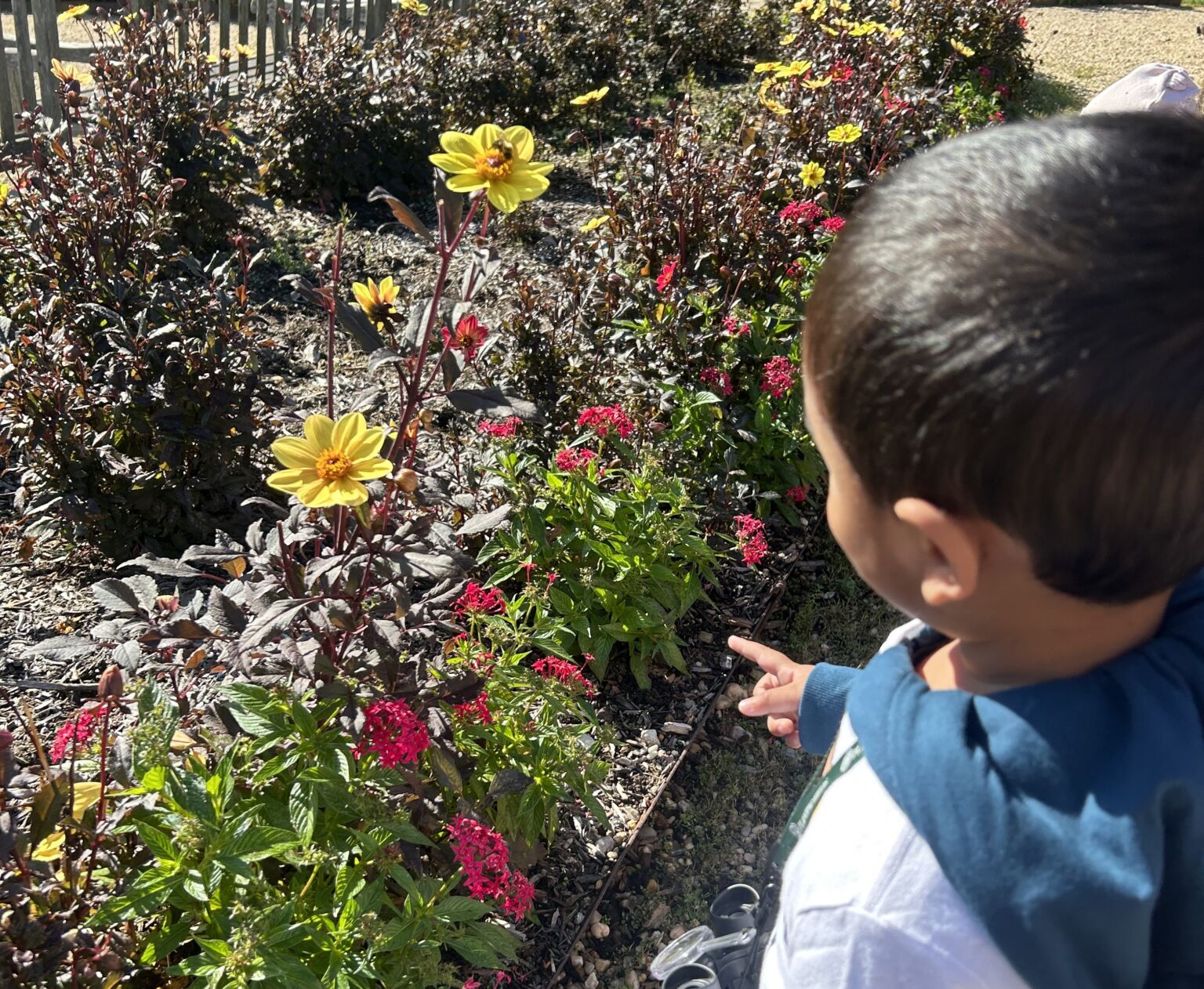 Planting Fields Foundation