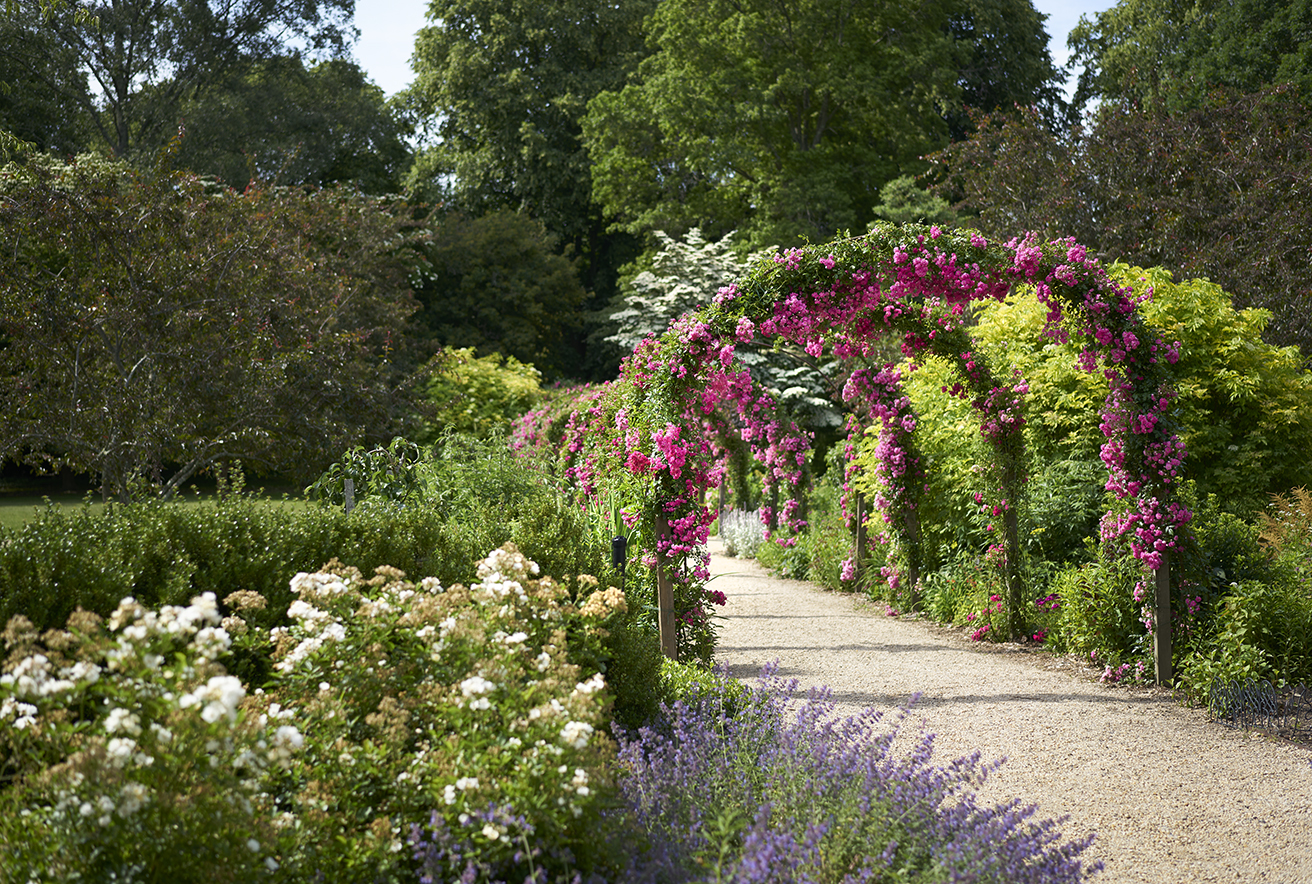 Summer Lovin’ Guide to Planting Fields – Planting Fields Foundation