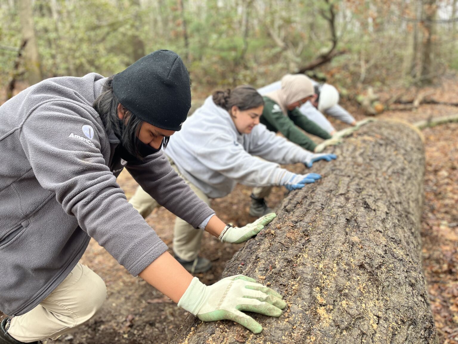 Planting Fields Foundation