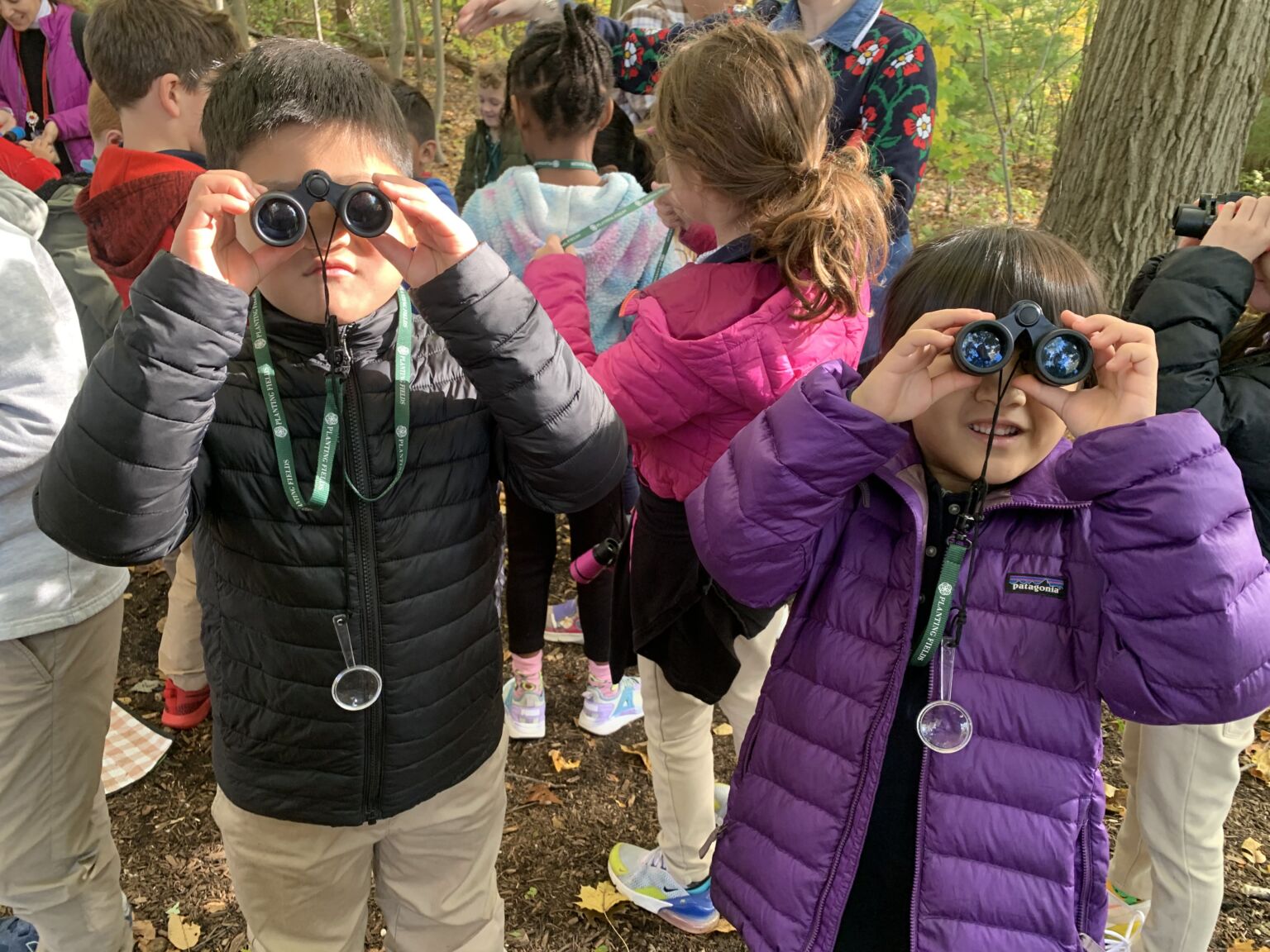 Planting Fields Foundation