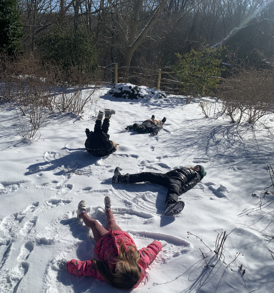 Planting Fields Foundation