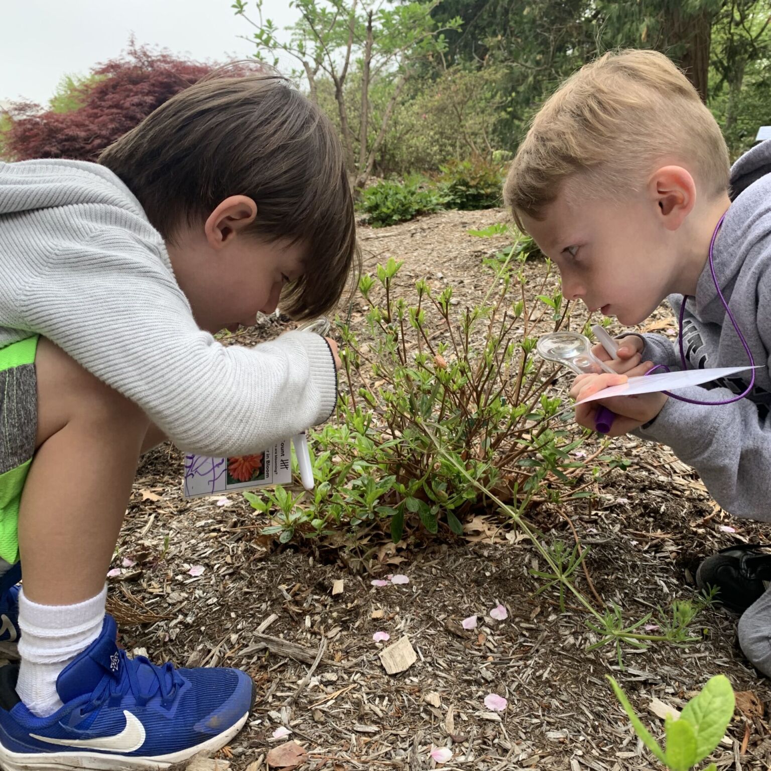 Planting Fields Foundation