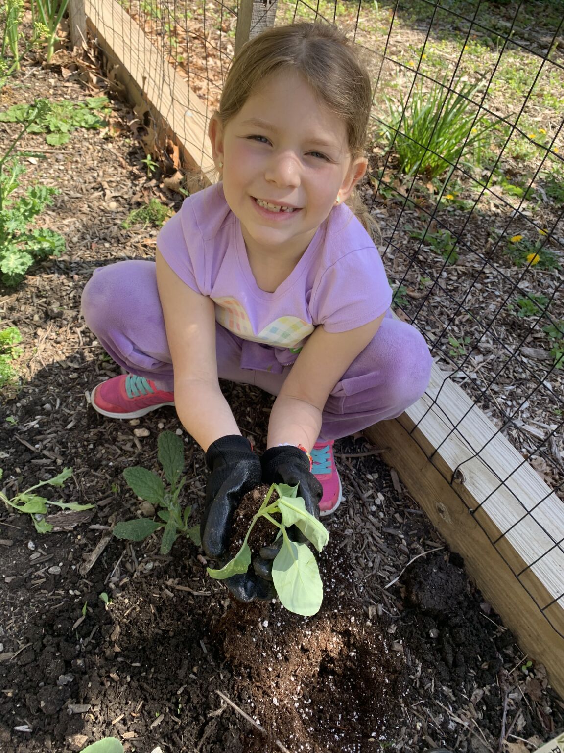 Planting Fields Foundation