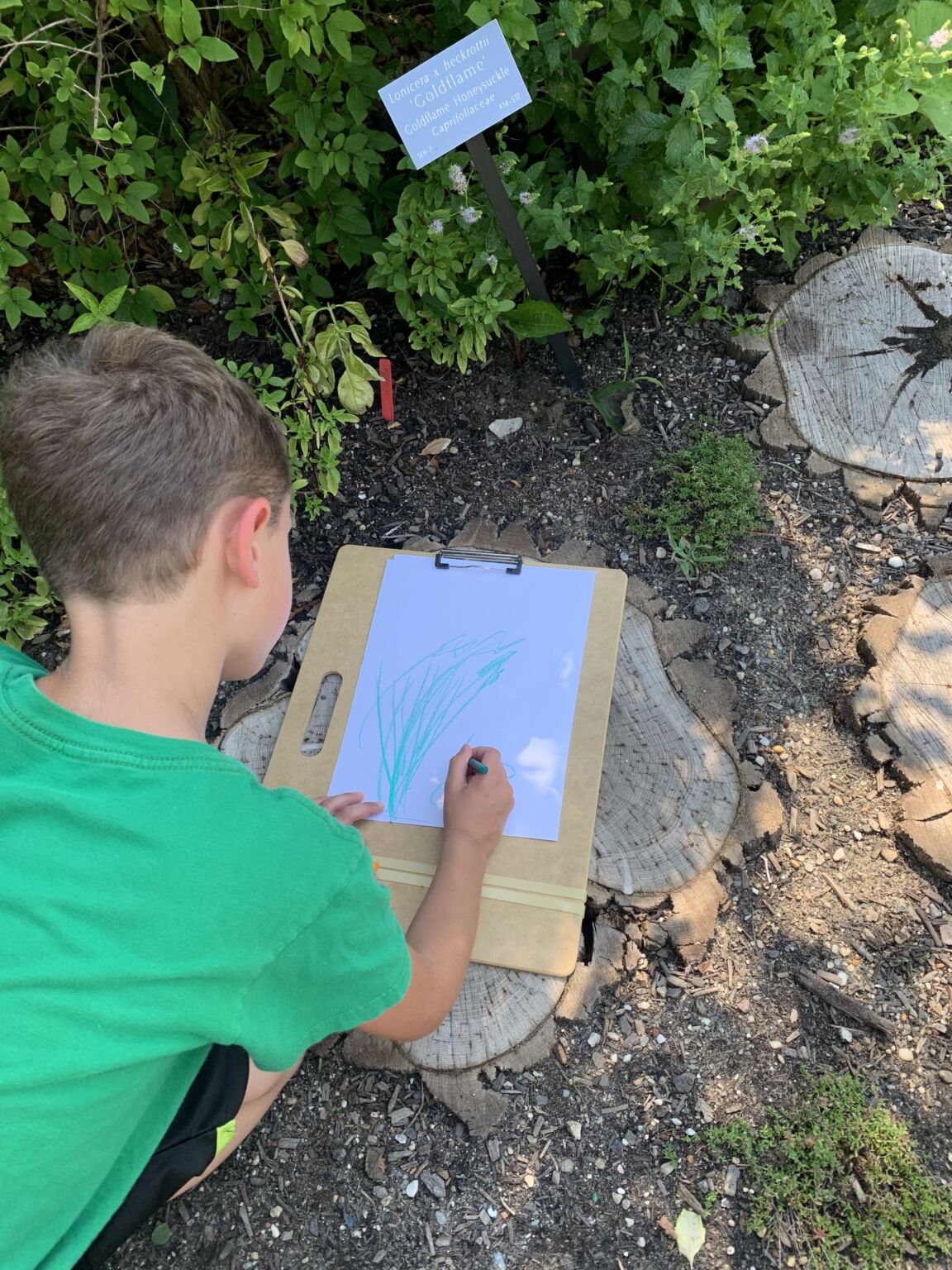 Planting Fields Foundation