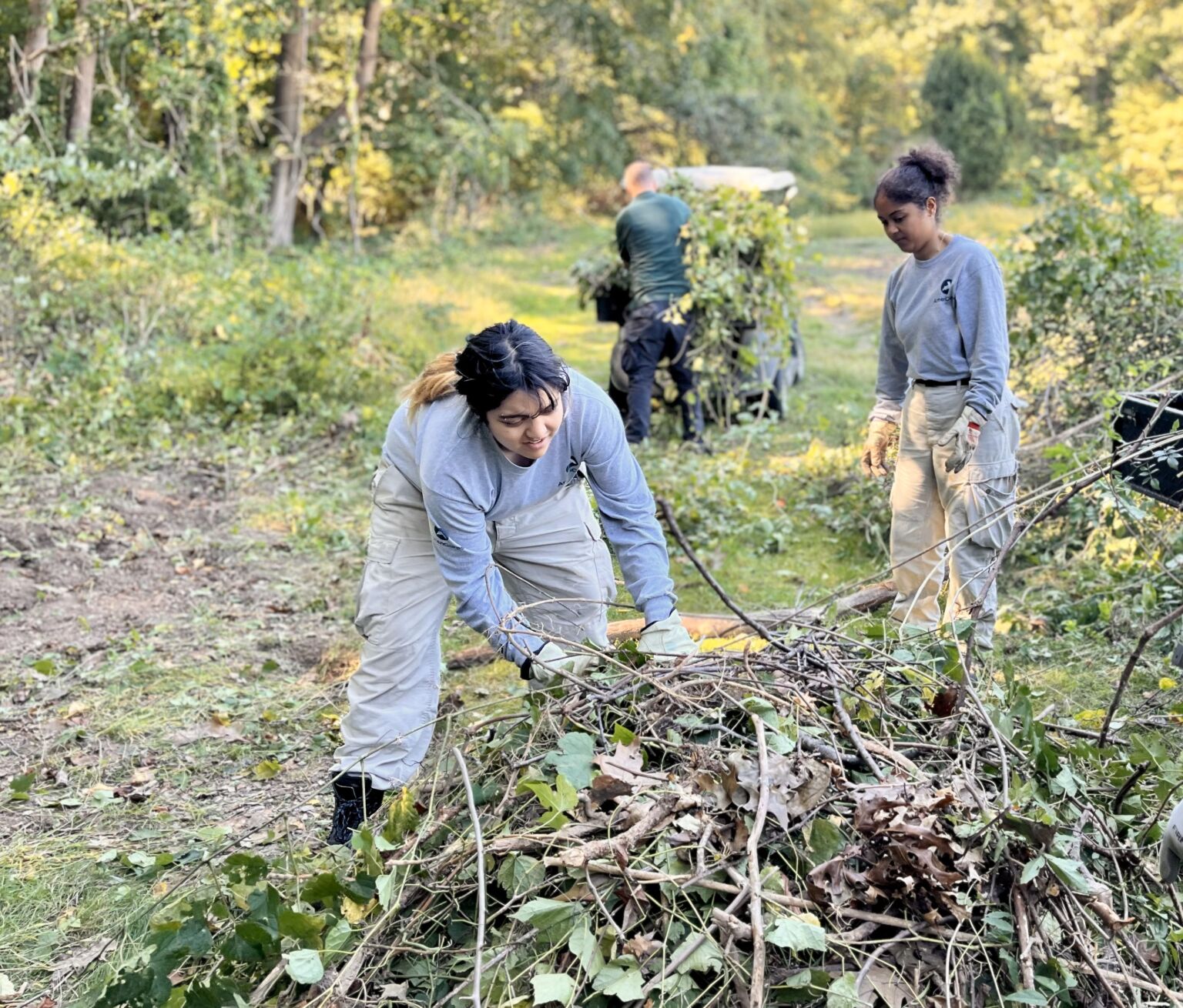 Planting Fields Foundation