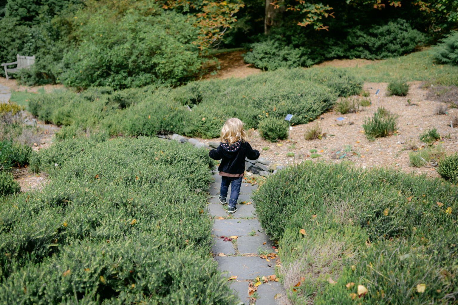 Planting Fields Foundation