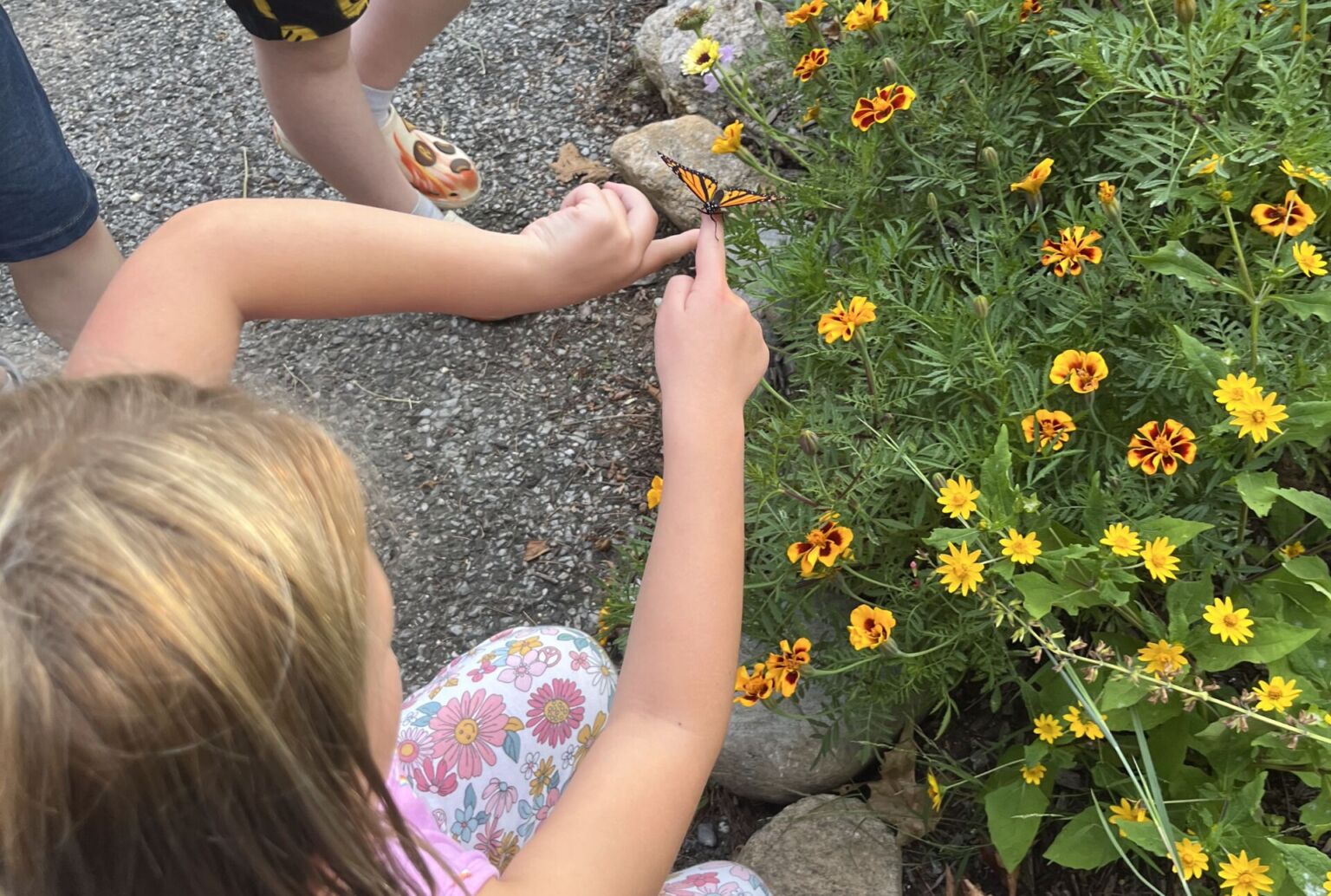 Planting Fields Foundation